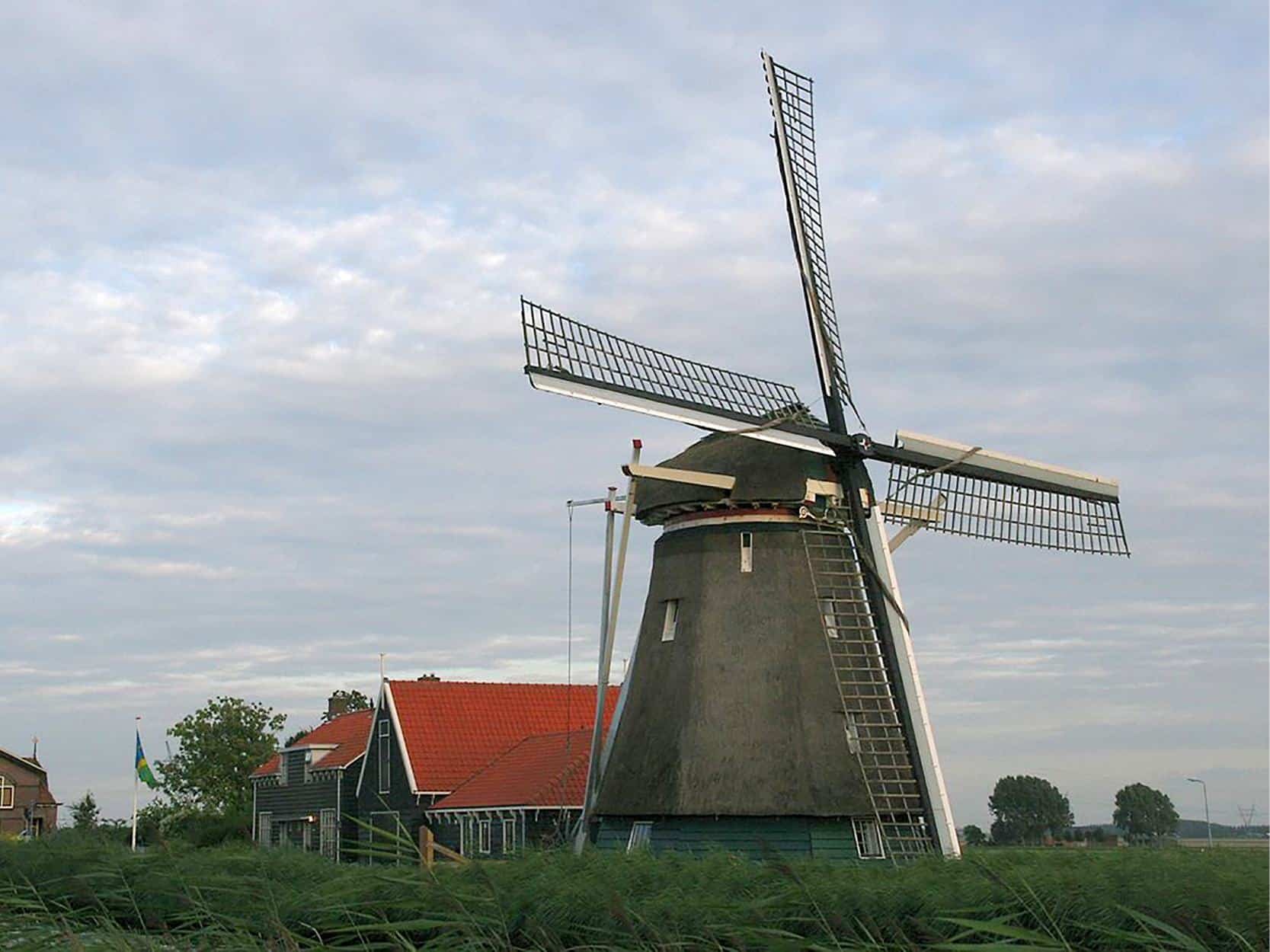 Korenmolen De Otter – Erfgoed Alkmaar